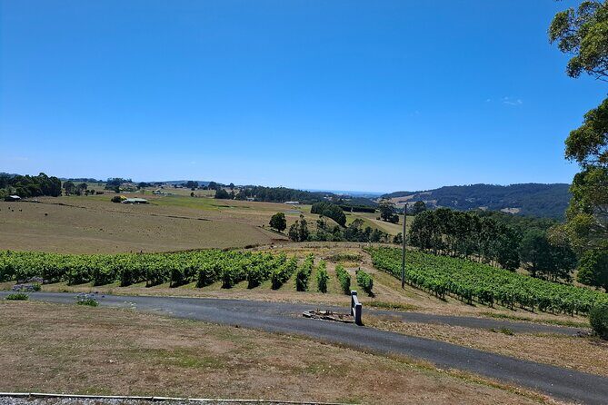 Burnie Shore Excursion: Tasting Trail Tour - Practical Details & What to Expect