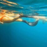 Busselton Jetty and Underwater Sculptures Snorkel Boat Tour - Detailed Tour Breakdown