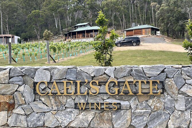 Caels Gate Wine Tasting in Hunter Valley - The Sum Up