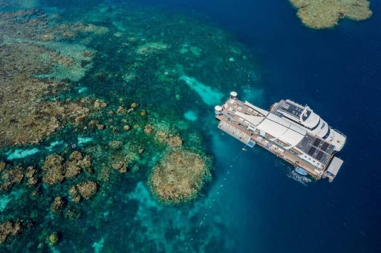 Cairns: Great Barrier Reef Pontoon with Water Activities - Transportation and Practicalities