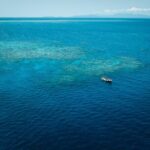 Cairns Great Barrier Reef Snorkel and Flight Adventure - What It Means for You