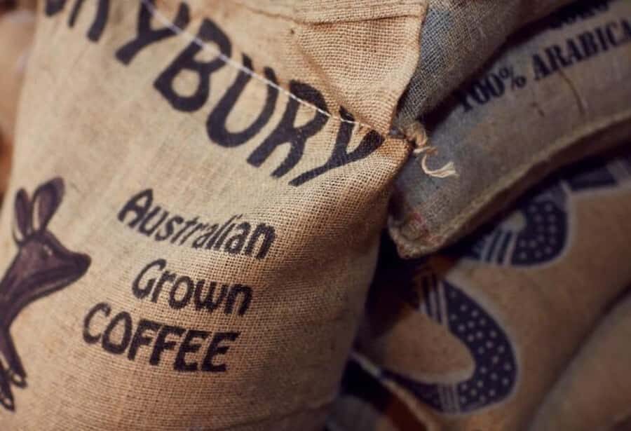 Cairns: Waterfall, Wetlands and Skyrail - Exploring Cattana Wetlands