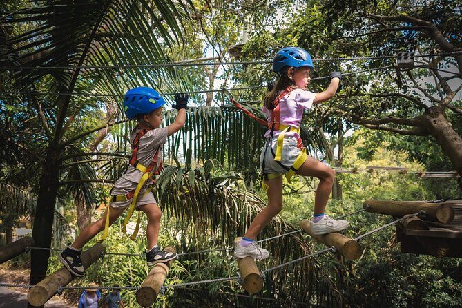 Canberra Junior Tree Ropes Course - The Sum Up
