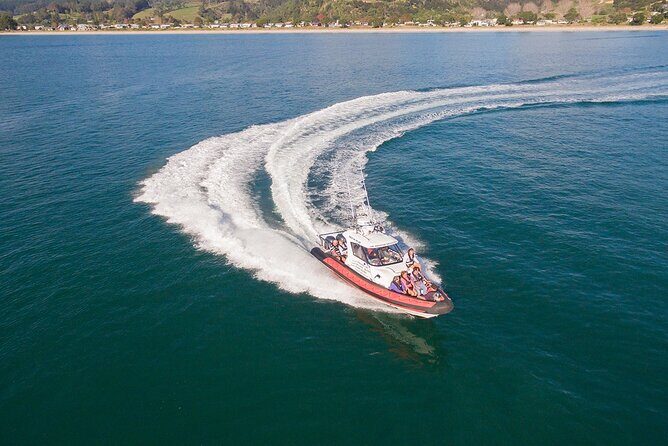Cathedral Cove Scenic Cruises Whitianga - Why This Tour Works
