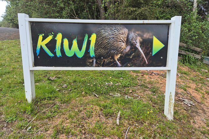 Caves to Kiwis E-Bike Rental - The Cultural and Wildlife Encounter