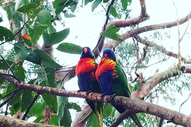 Central Coast Private Tour From Sydney, with Australian Reptile Park Option - The Sum Up: Who Will Love This Tour?