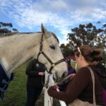Champion Racehorse Tour with Beer and Wine Tasting - What Sets This Tour Apart?