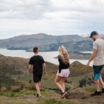 Christchurch Highlights Tour (Full Day Private) - How the Experience Comes Together