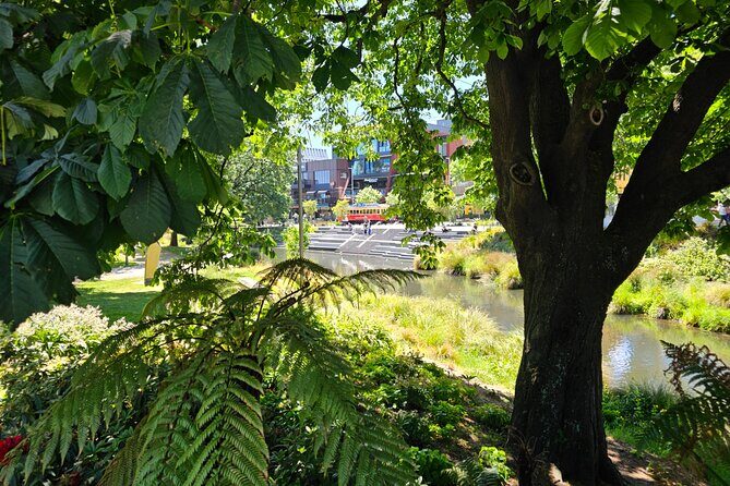 Christchurch Secret Inner City Walking Tour and Hidden Gems - Who’s This Tour Best For?