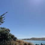 Christchurch to Queenstown One Way Via Lake Tekapo - What’s Included and What’s Not