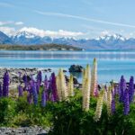Christchurch to Queenstown One way via Mt Cook with Breakfast - Who Is This Tour Best For?