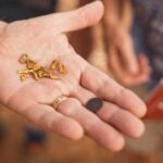 City of Perth Tour - Exploring the Itinerary in Detail