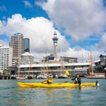 City Scenes Kayak Tour in Auckland - Explore the Waterfront - Practical Details: Making the Most of Your Experience