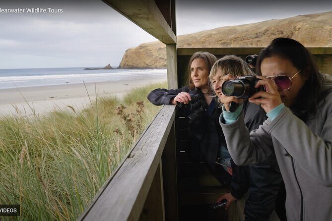 Clearwater Private Penguin & Wildlife Tour from Port Otago (5hrs) - Pricing and Value