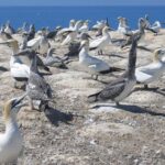 Coast to Coast Private Eco Tour - What’s Included and What You’ll Love