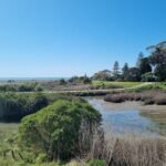 Coast to Country Winery Cycle Tour - The Overview: A Blend of Scenery and Sip