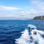 Coastal 2.5-hour Adventure Boat Tour from Newcastle - The Highlights in Detail