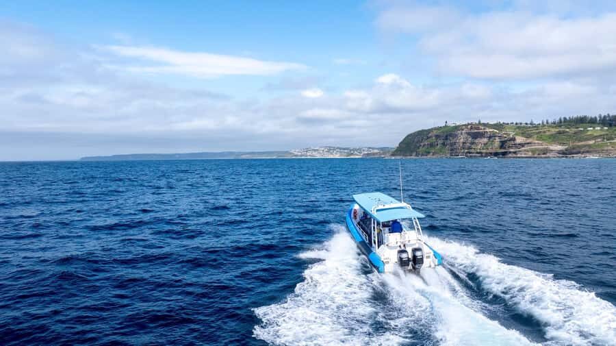 Coastal 2.5-hour Adventure Boat Tour from Newcastle - The Highlights in Detail