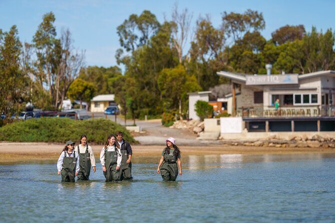 Coffin Bay Tour with Oyster Shucking and Off Road Adventure - Culinary Delights and Relaxed Comfort
