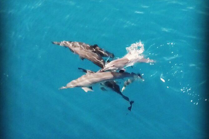 Combo Jet Ski Excursion + 4X4 Safari - Final Thoughts