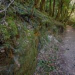 Copeland Tops National Park: Mountain Maid Gold Mine Tour - Exploring Mining History and Machinery