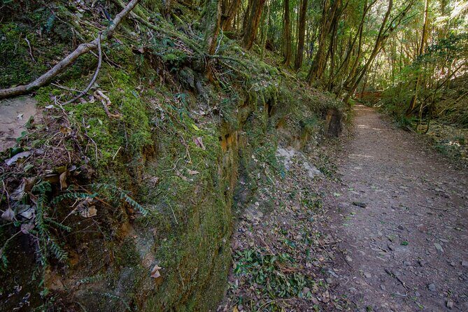Copeland Tops National Park: Mountain Maid Gold Mine Tour - Exploring Mining History and Machinery