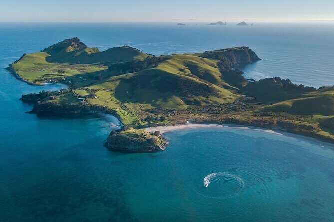 Coromandel Adventure and Wildlife Boat Tour to Aldermen Islands - Practical Details and Value