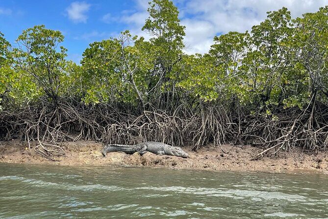 Croc Spotting Jetski Experience in Cairns City - Price and Value: Is It Worth It?