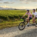 Cruise Excursion Self Guided Biking Wine Tour - Authentic Experiences and Tips from Reviews