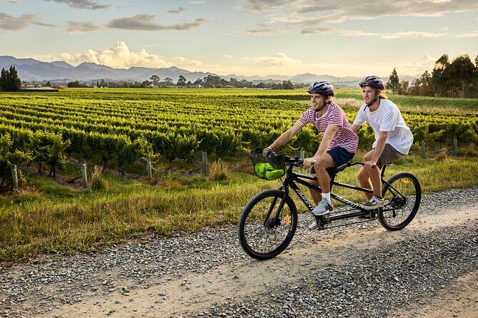 Cruise Excursion Self Guided Biking Wine Tour - Authentic Experiences and Tips from Reviews