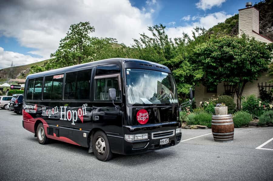 CRUISE SHIP DAYS - HOP ON HOP OFF - Wine, Beer, Food Tour - Final Thoughts: Who Is This Tour Perfect For?