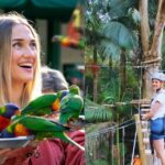 Currumbin Wildlife Sanctuary Pass + The Treetop Challenge - Practicalities and Tips