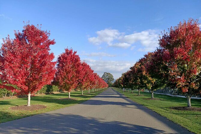 Customized private winery day tour in Yarra Valley at your own choices - Who Would Love This Tour?