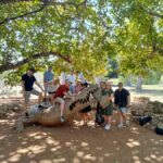 Darwin and Crocodile Tour - Practical Details: What You Need to Know