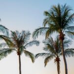 Darwin City Sightseeing Tour - The Highlights: What Travelers Love