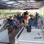Darwin City Tour + Crocodile Cruise+Lunch Optional - Transportation, Group Size, and Timing