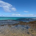 Day Tour Exploration of Fiji Culture and Nature - Authentic Experiences That Matter