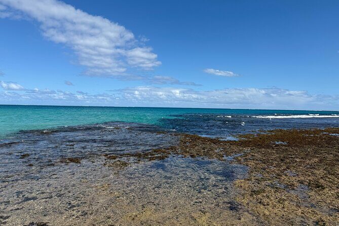Day Tour Exploration of Fiji Culture and Nature - Authentic Experiences That Matter