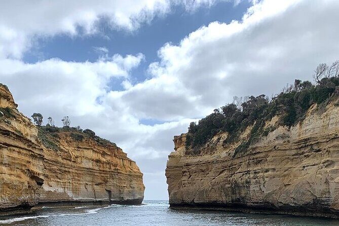 Day Tour - Melbourne to Great Ocean Road(Min 5-Max 11 Passengers) - Authentic Insights from Reviews