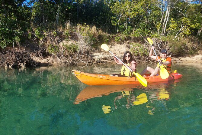 Daytime Kayak Eco Tour of New South Wales - Who Will Love This Experience?