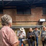 Delicious walking food tour of Dunedin - The Itinerary in Detail