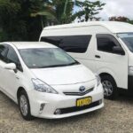 Denarau Hotels to Nadi Airport (Private Transfer) - Who Will Love This Service?