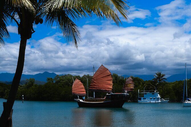 Discover Cairns Private Day tour with optional airport drop-off - Experience Quality and Practical Details
