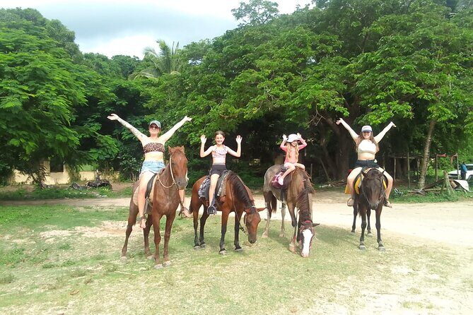 Discover Coral Coast Combo Tour - The Drawbacks to Consider