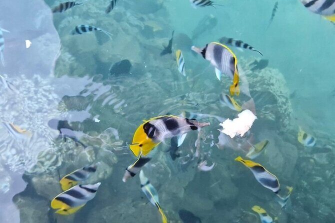 Discover the authenticity of a private and welcoming paradise - Final Thoughts