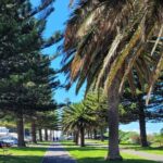 Discover Victor Harbor Walking Tour - Frequently Asked Questions