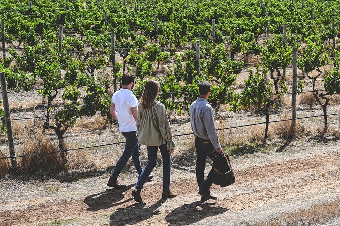 Discover Voyager Tour and Wine Tasting - Practical Details and Tips