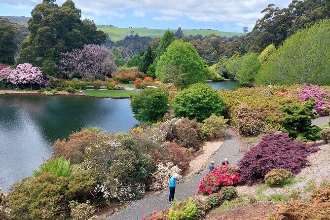 Discovering Tasmania: Burnie Shore Excursion - A Closer Look at the Itinerary