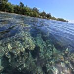 Dive Into Paradise: Snorkel Adventure at Paradise Cove - What to Expect During the Tour