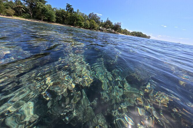 Dive Into Paradise: Snorkel Adventure at Paradise Cove - What to Expect During the Tour